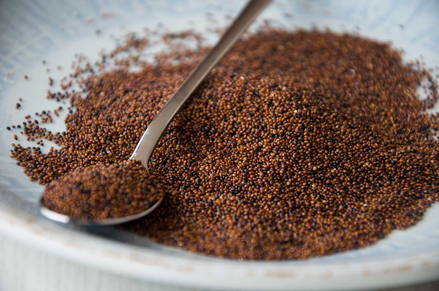 Cañihua ¿Qué sabes de este superalimento? - Diet Alba